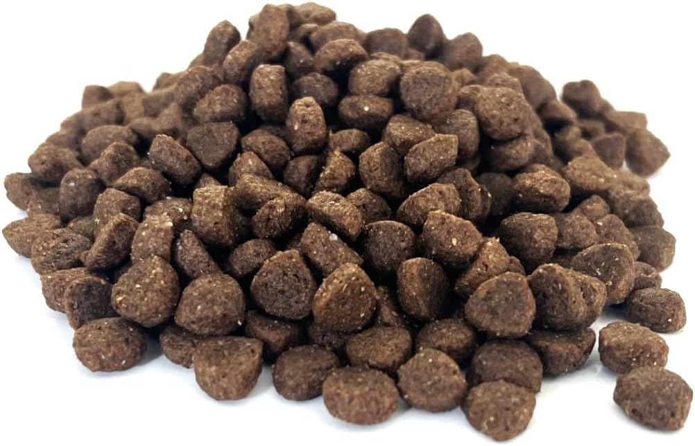 200g Complete Ferret Food Feed For Your Ferrets SLW : Amazon.co.uk: Pet ...