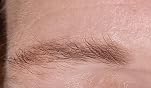 W7 Brow Grip - Instant Gel Fixer - Clear Strong Hold Formula For ...