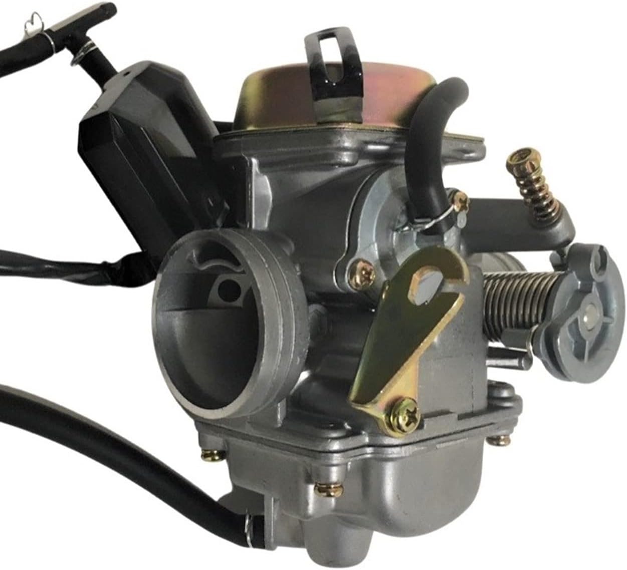 Amazon.com: Carburetor For Coleman BK200 AT200-B AT200 JL50QT BK150 Go ...