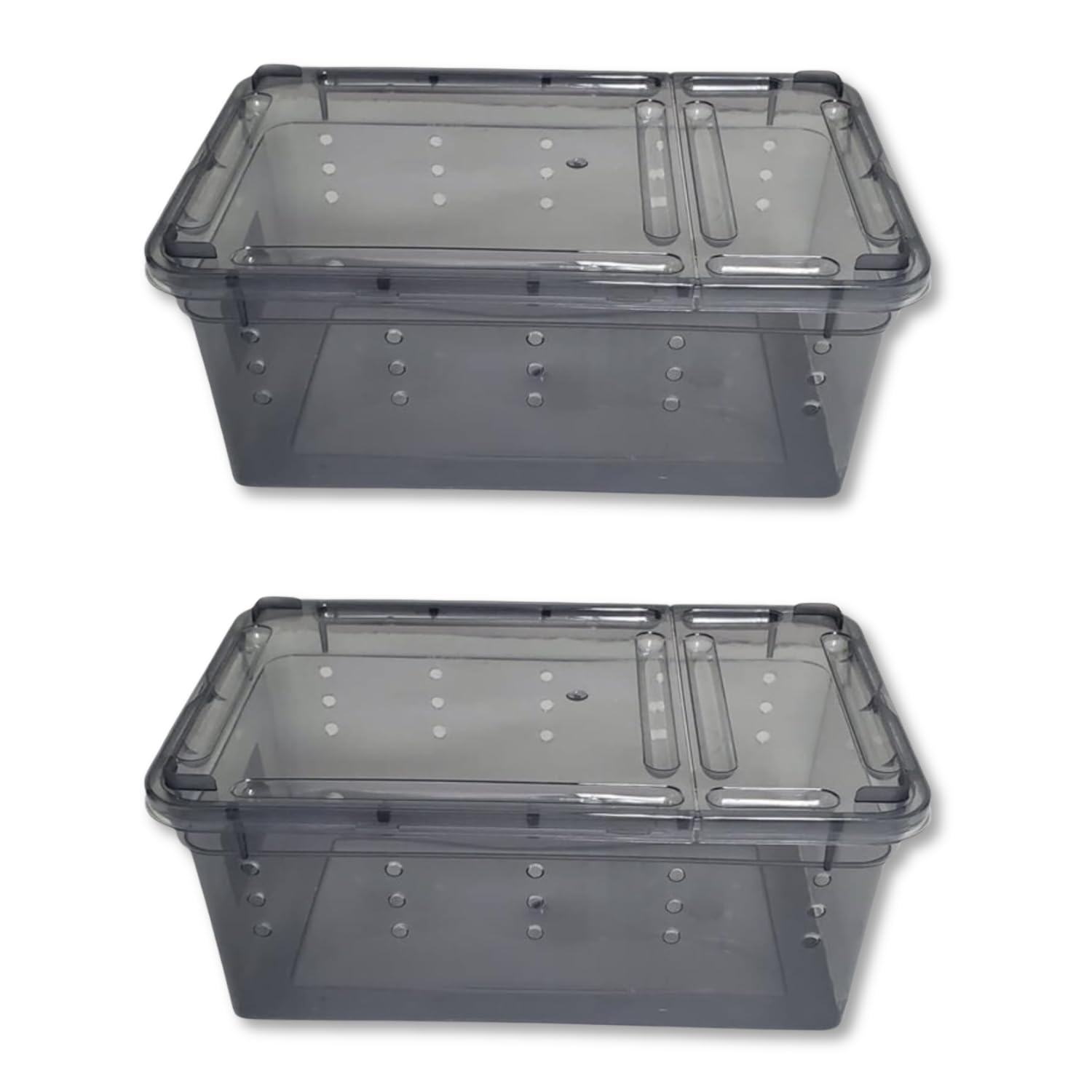 Amazon.com: Jungle Bob - Black Plastic Reptile Terrarium - Easy ...