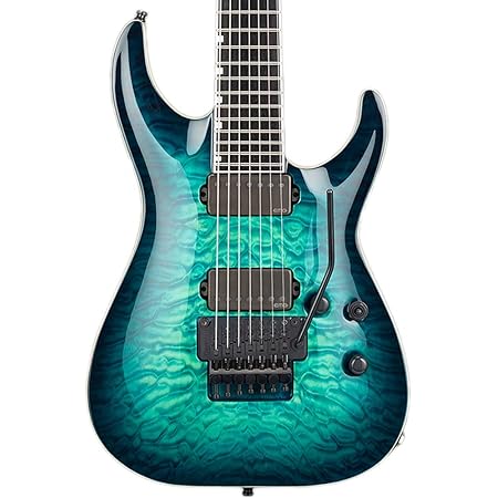 Amazon.com: ESP 7 String E-II Horizon FR-7 Electric Guitar with Case ...