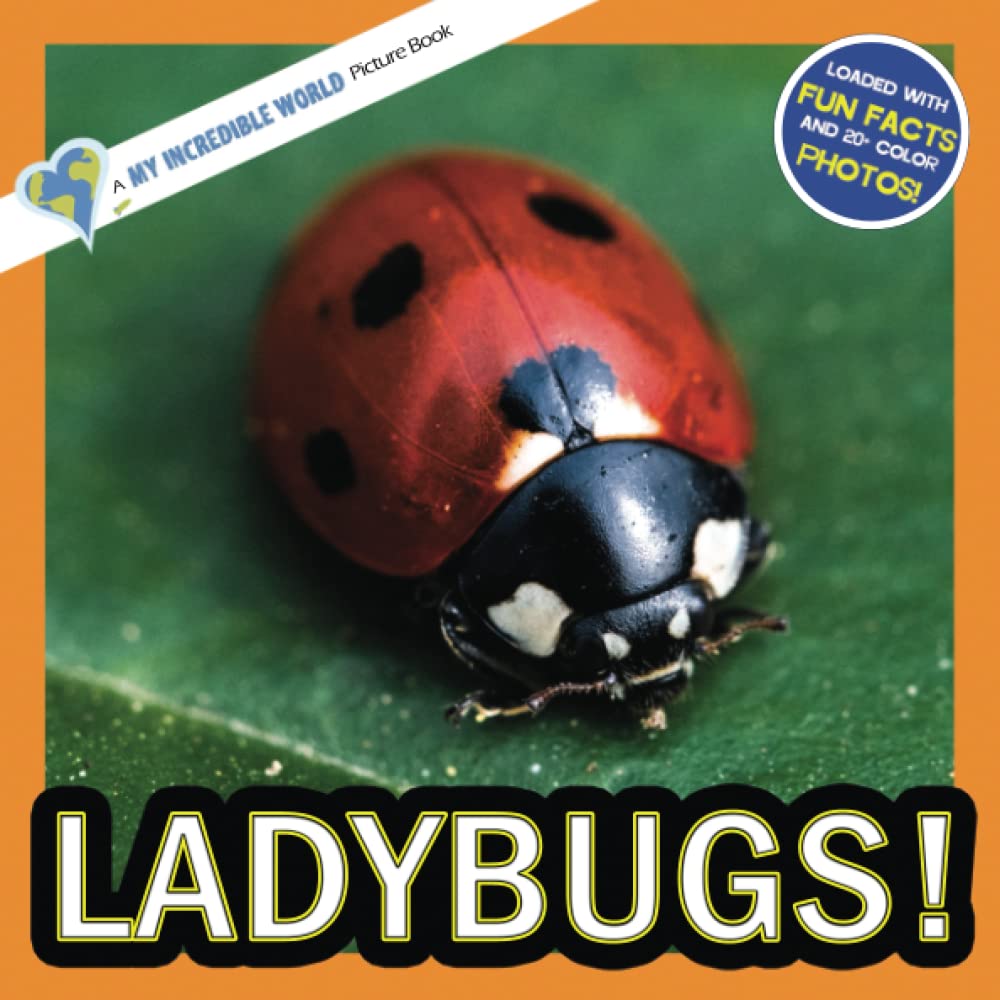 Ladybugs!: A My Incredible World Picture Book for Children (My ...