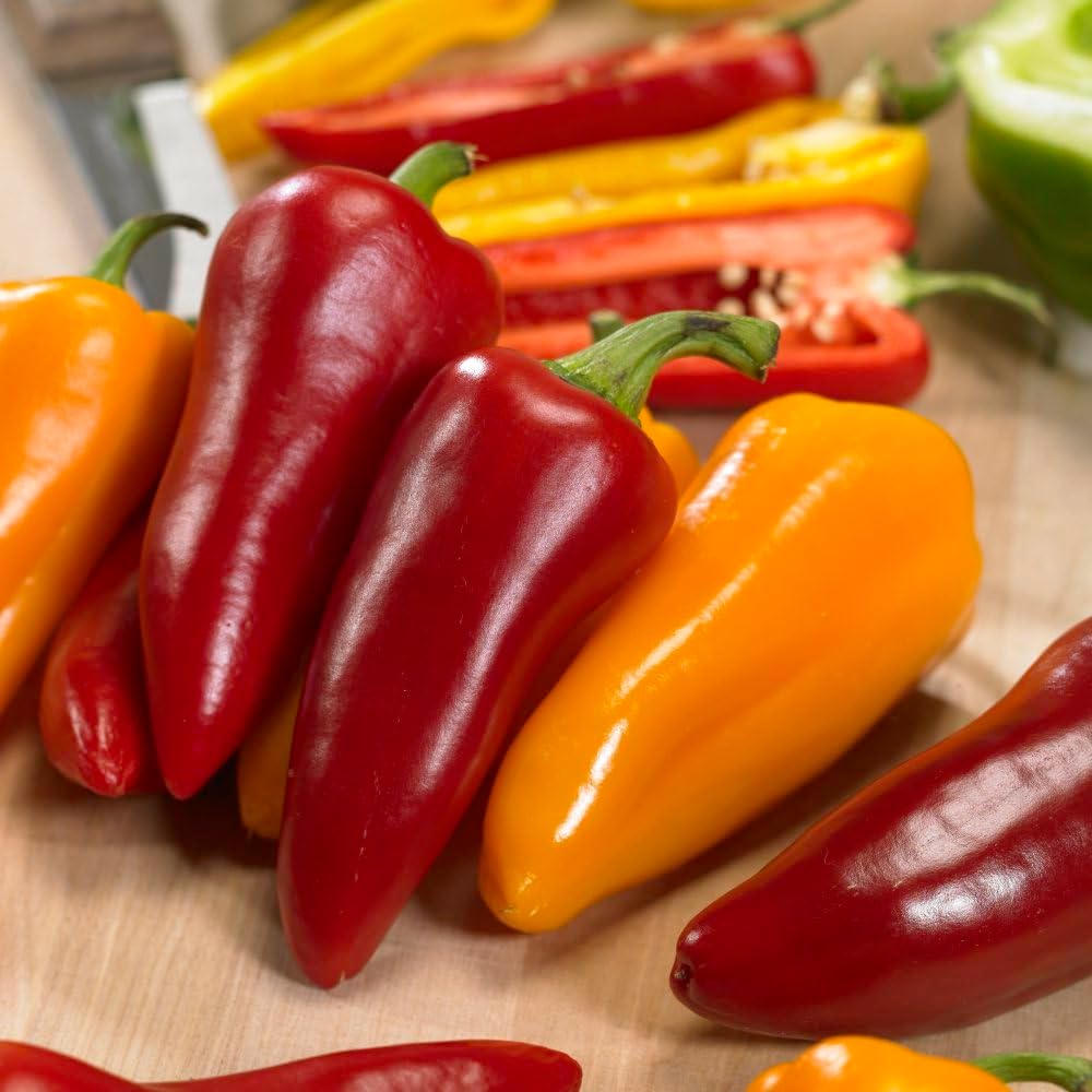 Pepper (Sweet) Pillar Sweet Trio F1 - Compact Mini Peppers for ...