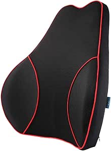 Coussin Dorsal/Soutien Lombaire, Dossier Orthopédique En Mousse ...