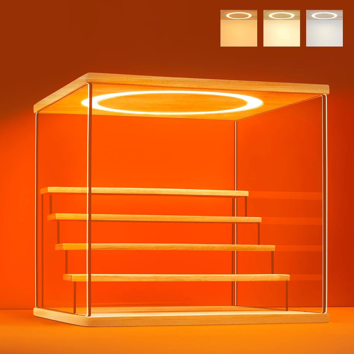 Amazon.com: DORYBEN Acrylic Display Case with Adjustable LED Light, 5 ...