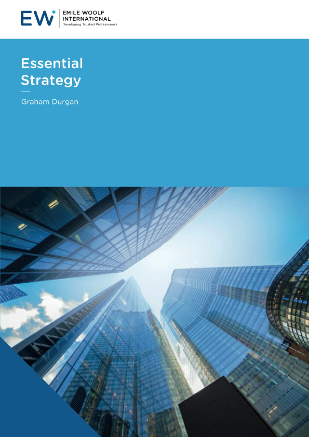 Essential Strategy: Emile Woolf International, Emile Woolf International: 9781848437616: Amazon ...