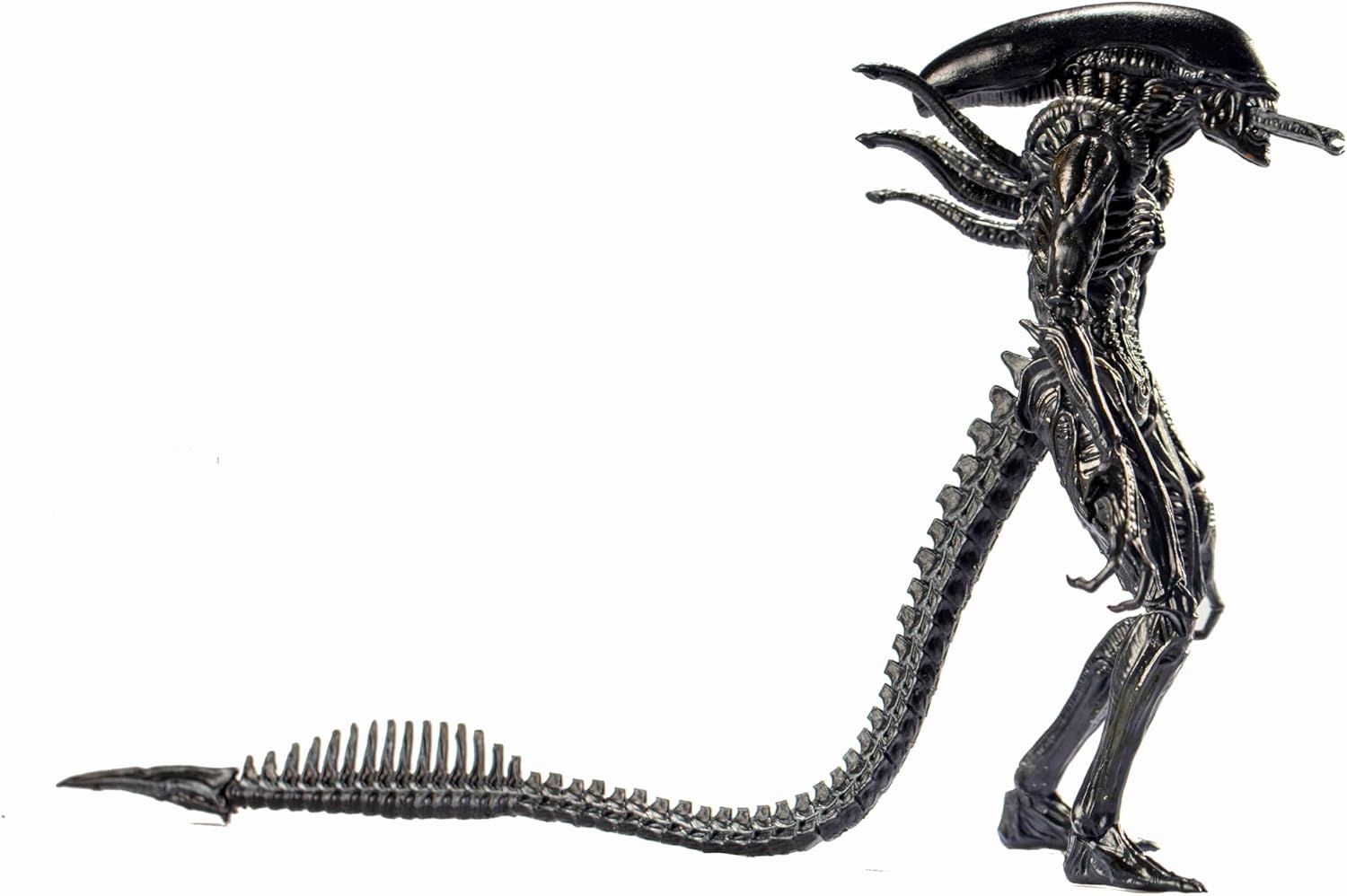 Amazon.com: Hiya Toys Exquisite Mini Series 1/18 Scale 5 Inch AVP Alien ...