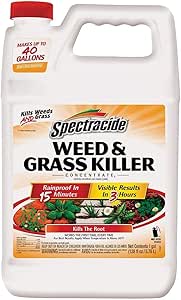 Amazon.com : Spectracide 1 Gal. Concentrate Weed & Grass Killer - 1 Each : Patio, Lawn & Garden