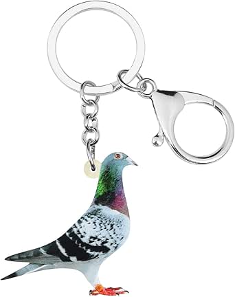 NEWEI Sweet Acrylic Pigeon Keychain Key Chain Bird Keychains Keyrings ...