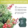 Amazon.com: Christmas Tree 30 inch Prelit 2 Set Pathway Porch Christmas Trees Pre-Light LED ...