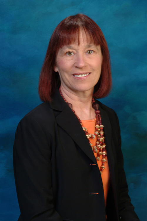 Amazon.com: Susan A. Schneider: books, biography, latest update