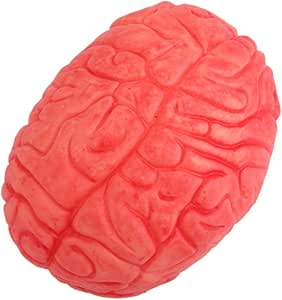 Amazon.com: Luzhengyang Realistic Bloody Human Brain Halloween Prop ...