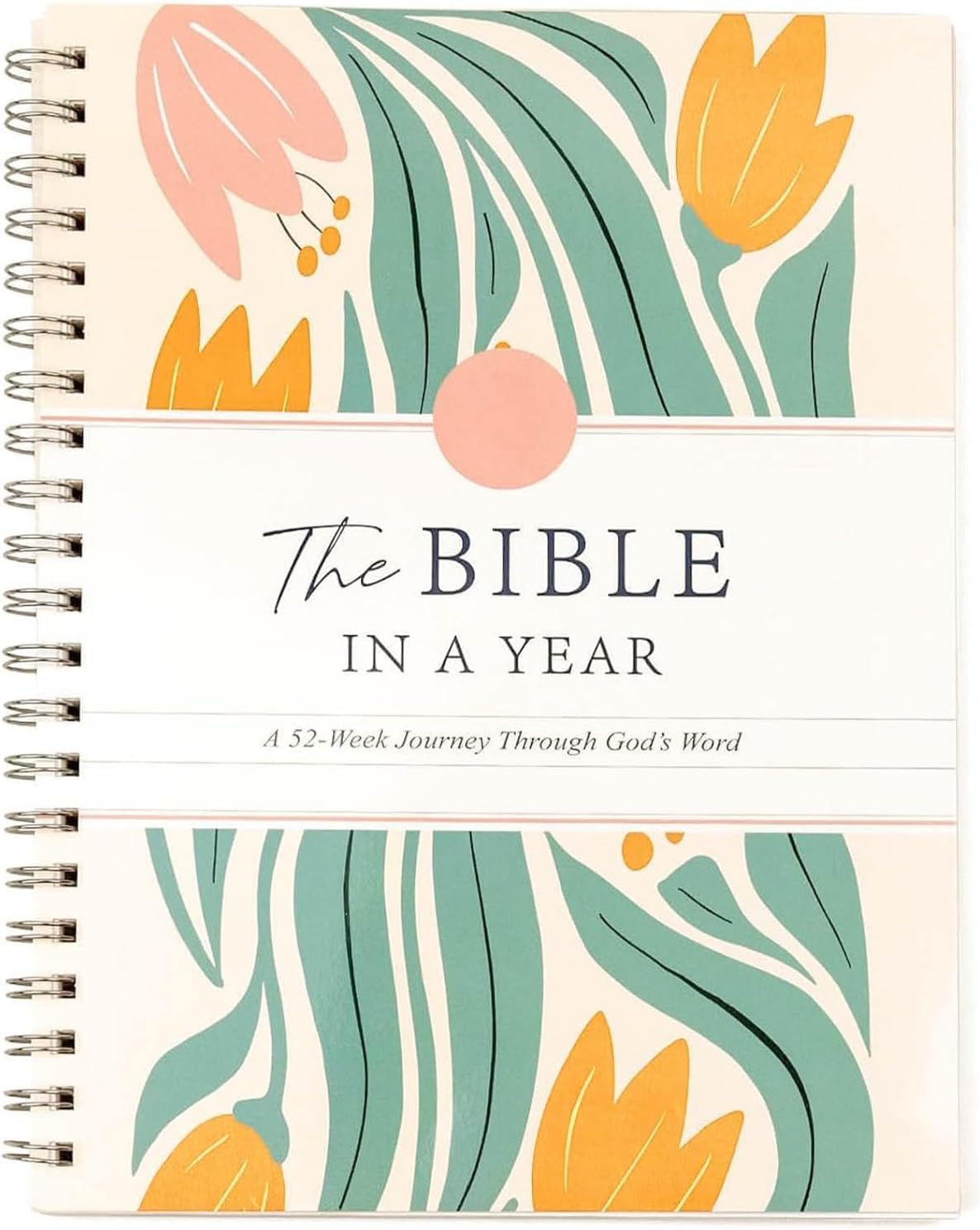 Amazon.com : The Bible In A Year: A 52-Week Study For Women Bible ...