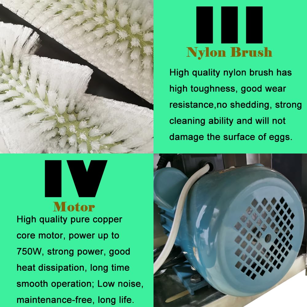 Egg Washing Stainless Steel Automatic Machine Washer Amazon