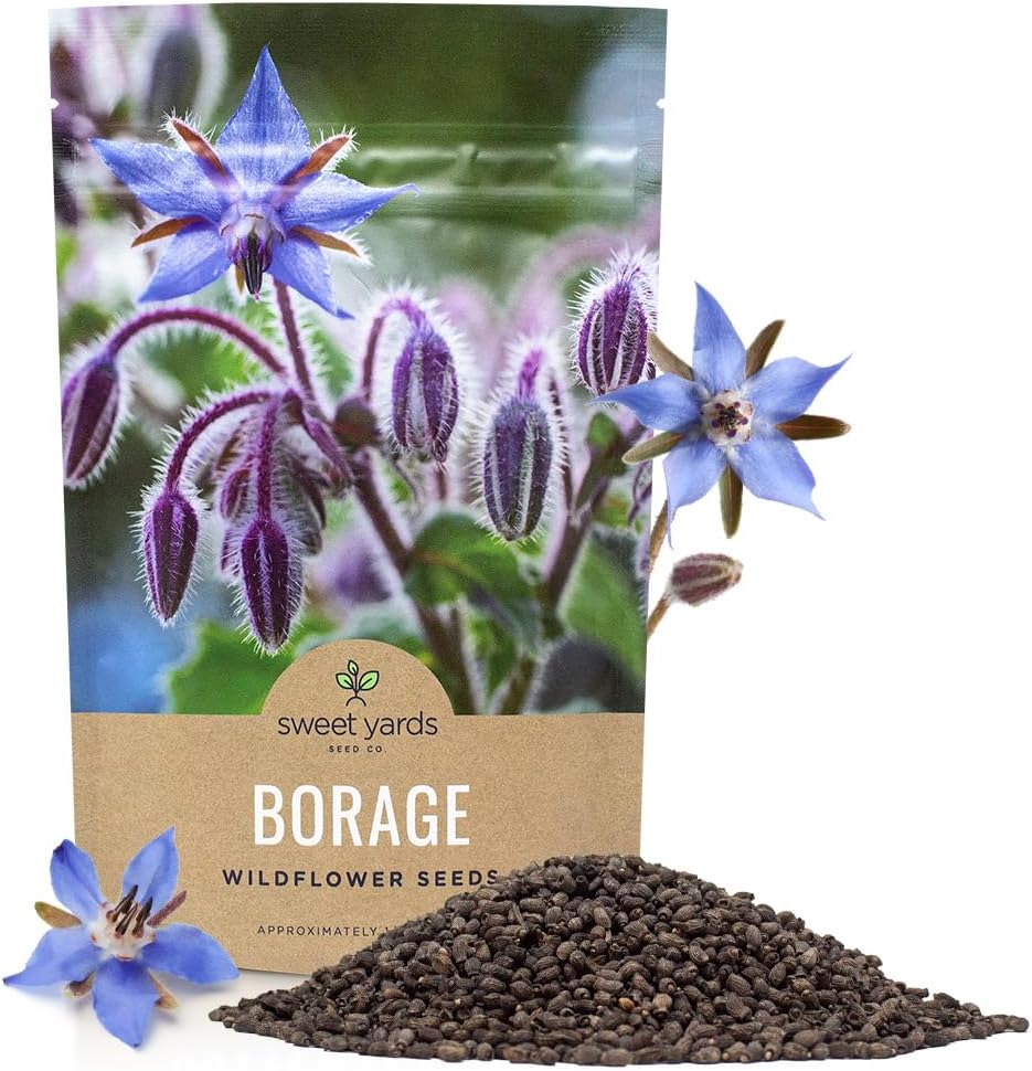 Amazon.com : Borage Seeds – Bulk Quarter Pound Bag – Over 5,000 Open ...
