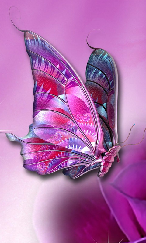 Desktop Wallpaper 4k Butterfly
