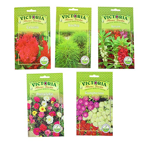 5 Variety Deluxe JK Agro Beautiful Flower Seeds Garden Plant Gift (100% ...