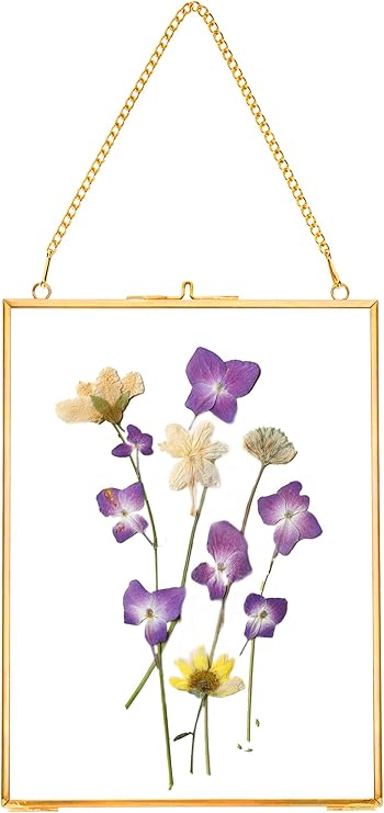 Amazon.com - REDHUGO Hanging Pressed Flower Frames, Double Glass ...