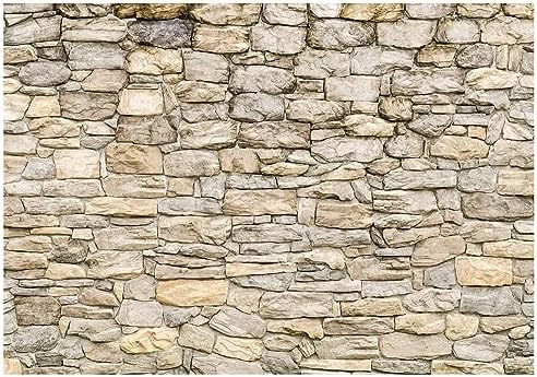 Amazon.com : 10x8ft Stone Wall Backdrop Vintage Brick Rock Stone Wall ...