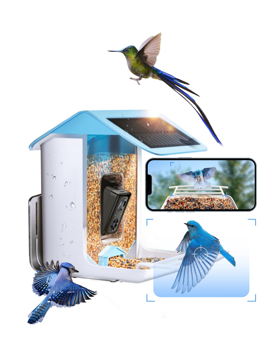 Amazon.com : Ahig Smart Bird Feeder with Camera, Wireless Outdoor,1080P ...