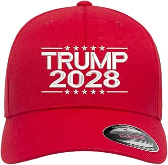 Amazon.com: 2028 Republican Election Embroidered Fitted Hat Red Curved ...