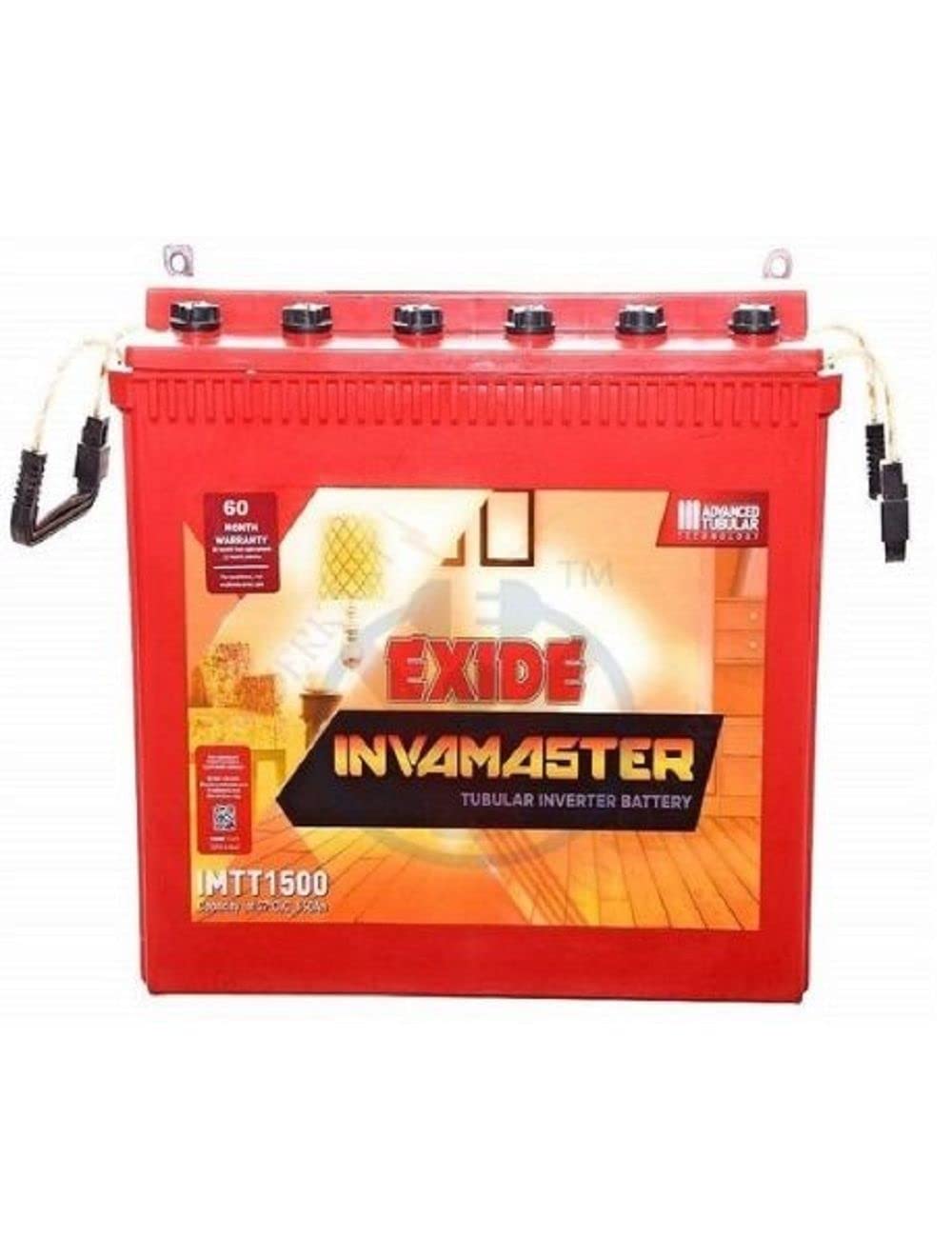 Exide Inva Master IMTT1500-150AH Tall Tubular Battery (2) : Amazon.in ...