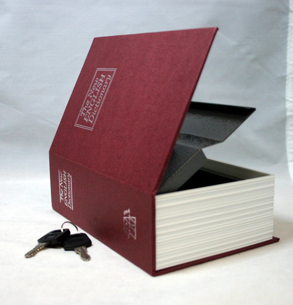 Amazon.com: BlueDot Trading Dictionary Diversion Safe with Lock and (2 ...