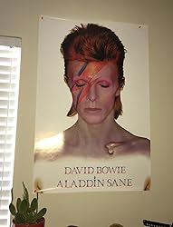 Amazon.com: Music Legends Posters: David Bowie - Aladdin Sane - 91 ...