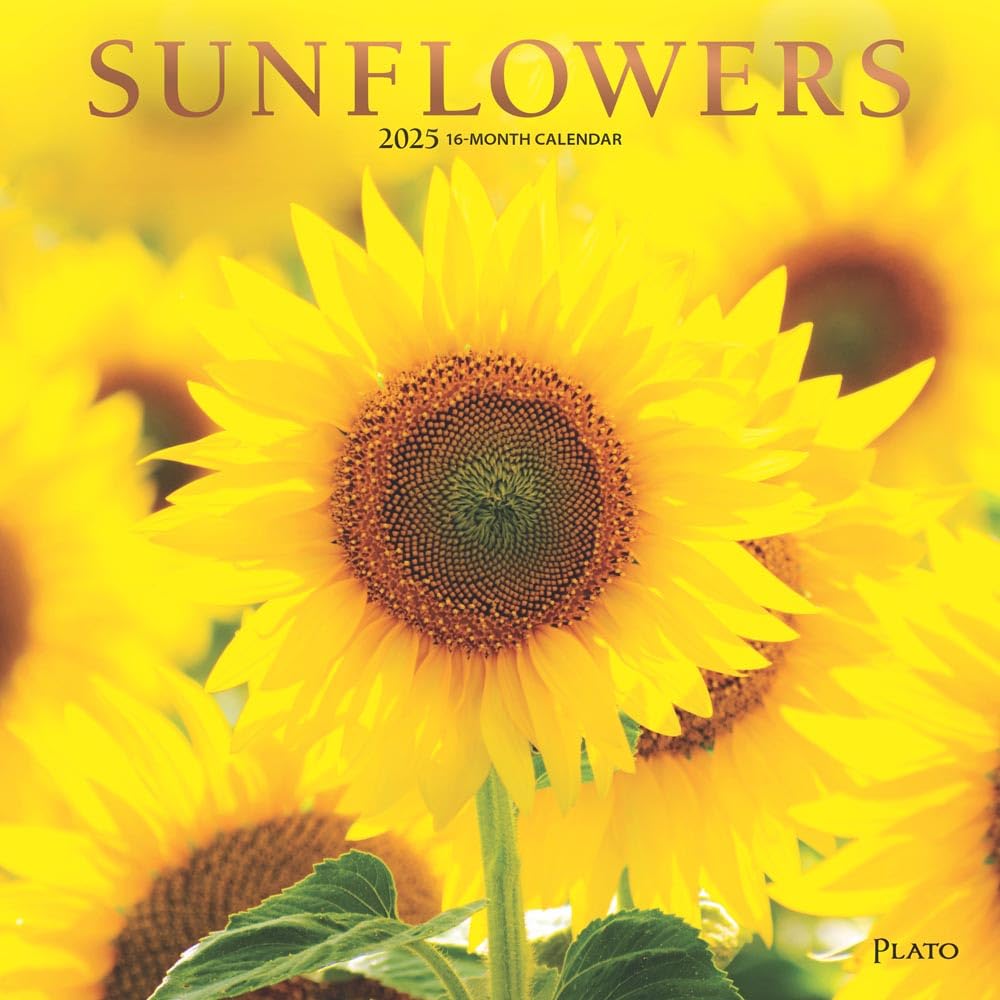 Snapklik.com : Sunflowers 2025 12 X 24 Inch Monthly Square Wall ...