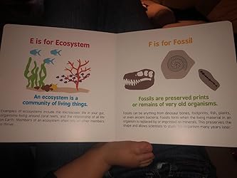 Amazon.com: ABCs of Biology: An ABC Board Book of First Biology Words ...