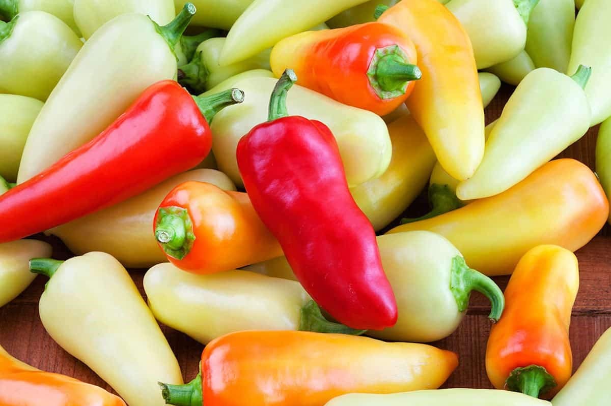 Amazon.com: Santa Fe Grande Pepper Seeds - 100 Count Seed Pack - Non ...