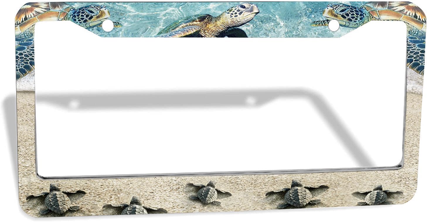 Amazon.com: Sea Turtle License Plate Frames Beach License Plate Holder ...