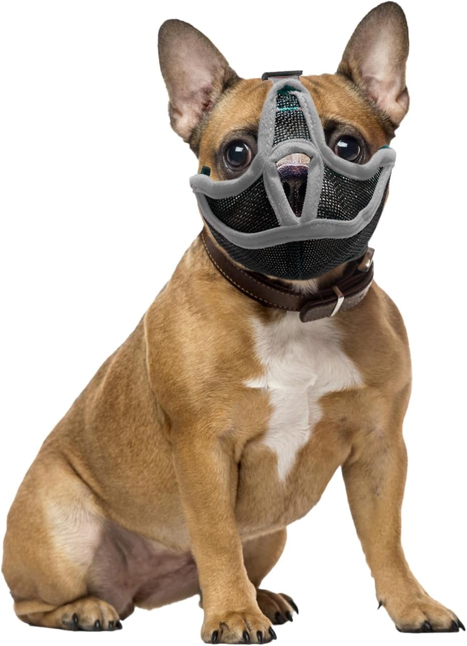 French Bulldog Muzzle, French Bulldog, Frenchie Muzzle, Short Snout Dog ...