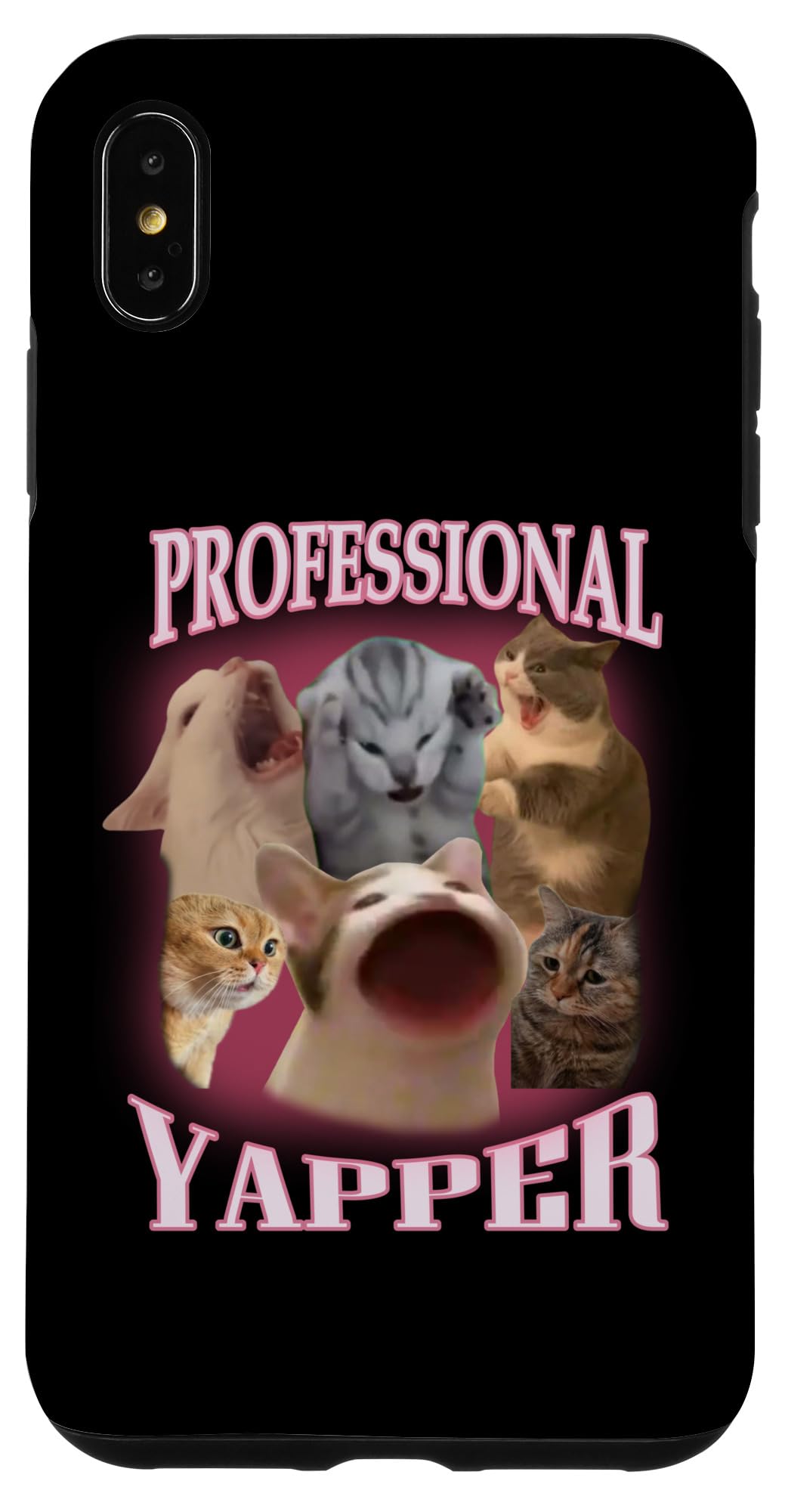 Queen Cat Memes