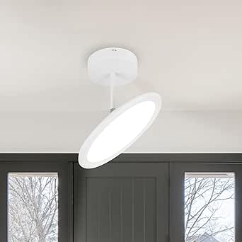 EIDISUNY Modern LED Ceiling Light Multi-Directional Ceiling Light ...