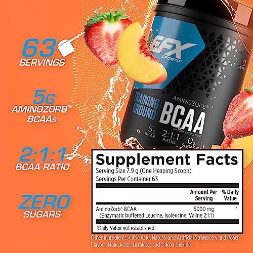 Snapklik.com : EFX Sports Training Ground BCAA Fully Stable, Highly ...