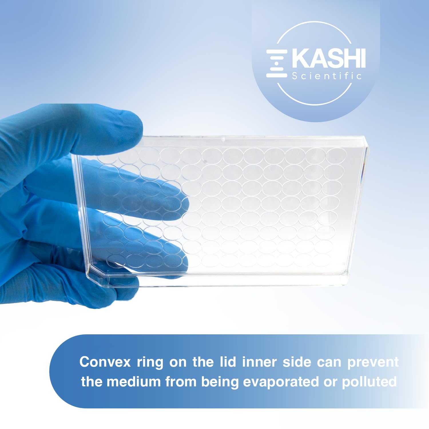 Clear 96-Well Microplate with Lids, 250ul Sterile Philippines | Ubuy