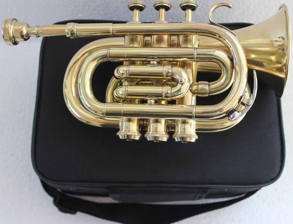 Amazon.com: Carol Brass Mini Pocket Trumpet [N1000 CL] Yellow Brass ...