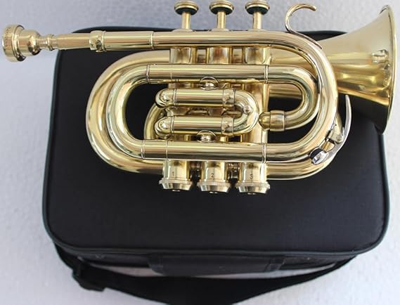 Amazon.com: POCKET TRUMPET Bb SHINING BRASS WITH BAG 7C MOUTH PIECE ...