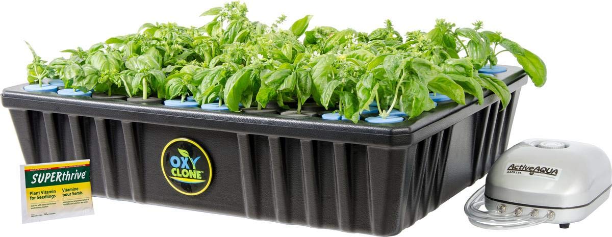 Buy Oxyclone OX80SYSP PRO Series 80 Site SUPERthrive ent Sample Pack ...