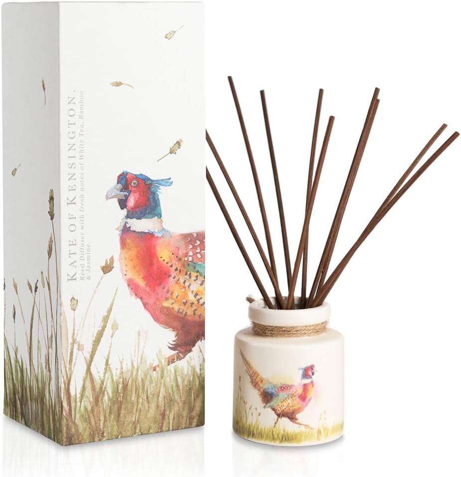 Kate of Kensington Reed Diffuser, Ceramic, 150ml : Amazon.co.uk: Health ...