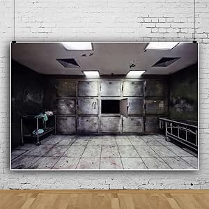 Amazon.com : Vinyl 12x10ft Creepy Old Hospital Backdrop Scary Insane ...