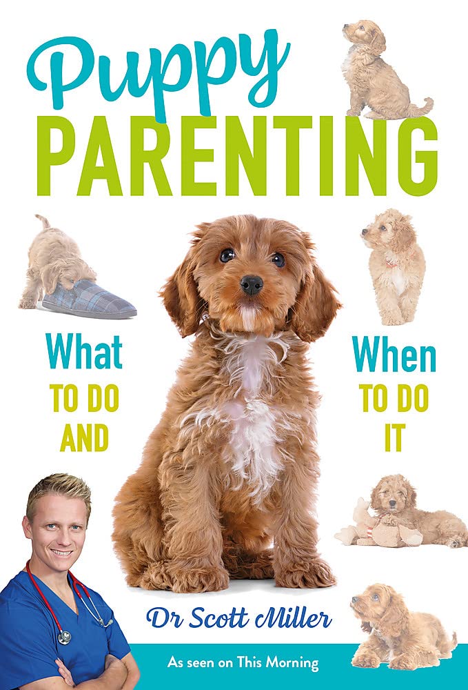 How Can I Be A Good Puppy Parent