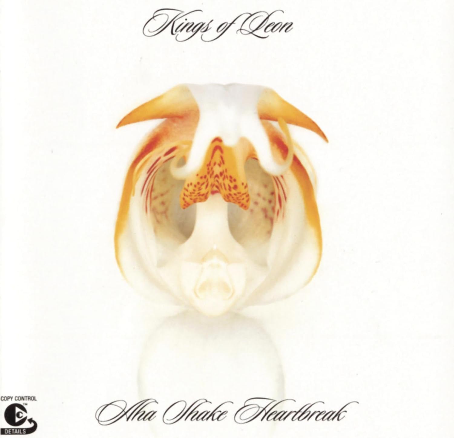 Aha Shake Heartbreak: Kings of Leon, Kings of Leon, Multi-Artistes ...