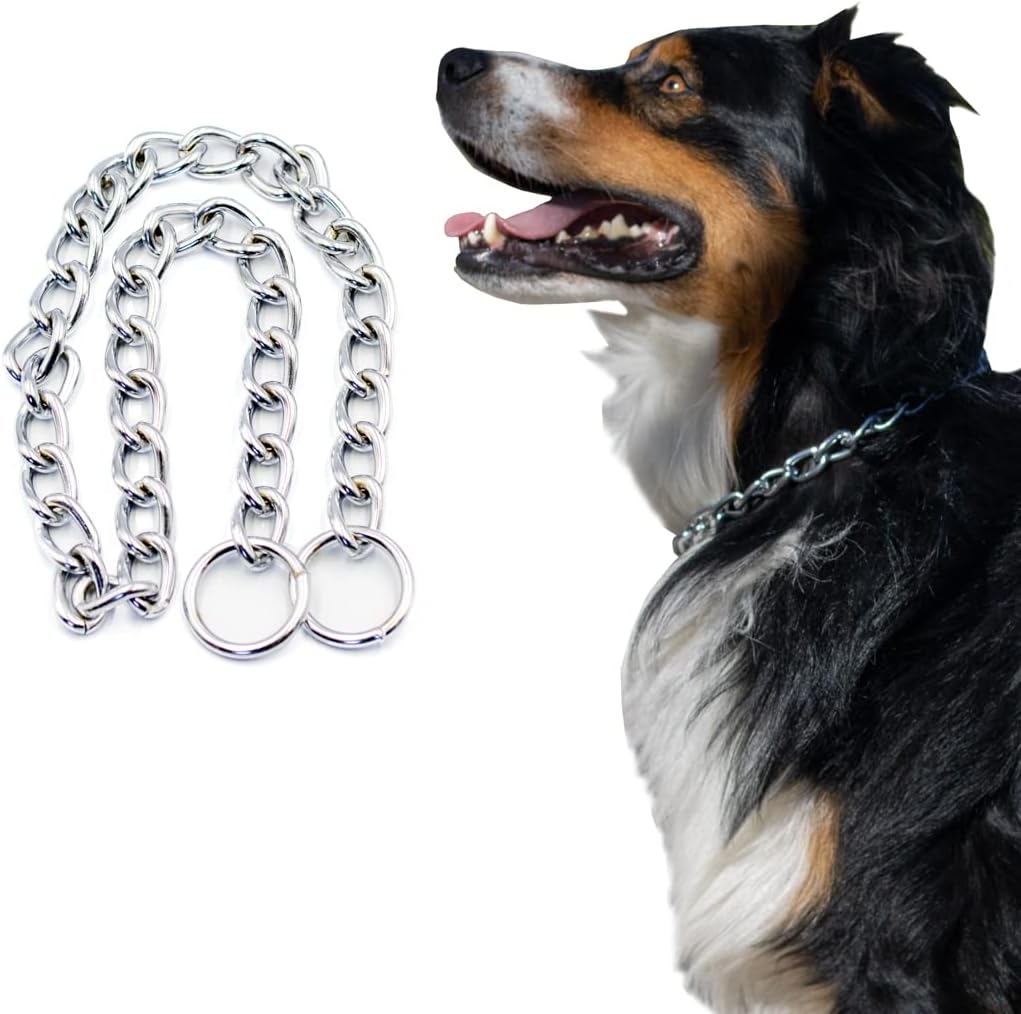 MAX & MAKI Cadena Collar de Acero Inoxidable para Perros medianos ...