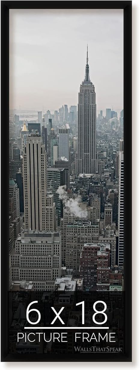 Amazon.com - WallsThatSpeak 6x18 Black Picture Frame, Modern Gallery ...