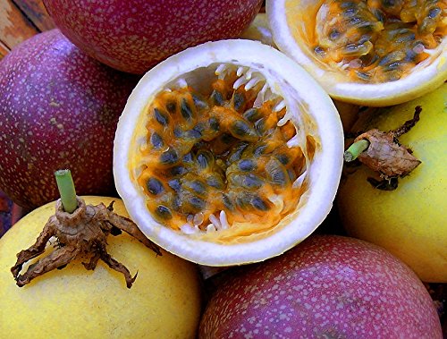 Creative Farmer Fruit Seeds : Passion Fruit Krishna Fal Fruit Seeds ...