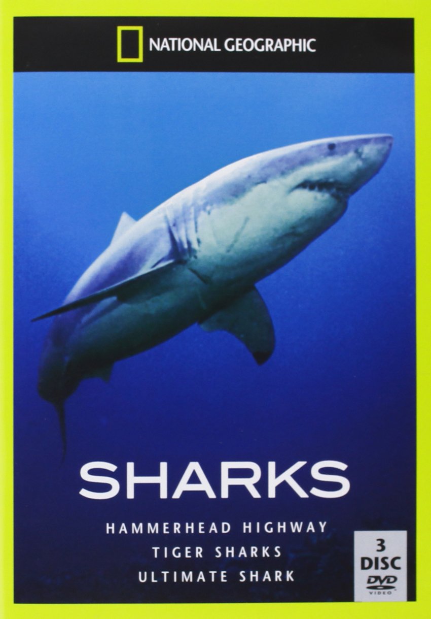 National Geographic: Sharks [DVD]: Amazon.co.uk: DVD & Blu-ray