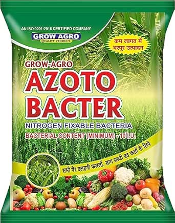 AZOTOBACTER BIOFERTILIZER: nitrogen fixing bacteria, plant growth ...
