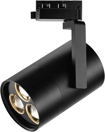 Amazon.com: Gpaillumic LED high Power Commercial Track Spotlight for ...